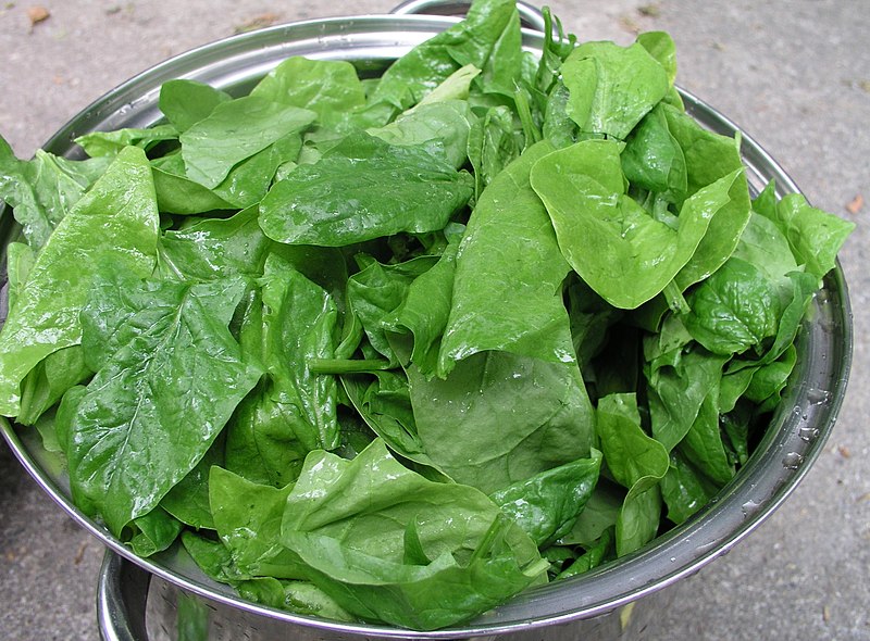 Spinach - Powerful Vegetable - Health Food Exercise